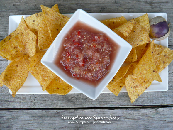 Purple Tomatillo Salsa Fresca | Sumptuous Spoonfuls