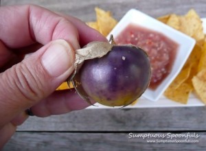 Purple Tomatillo Salsa Fresca | Sumptuous Spoonfuls