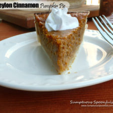 Simple Ceylon Cinnamon Pumpkin Pie | Sumptuous Spoonfuls