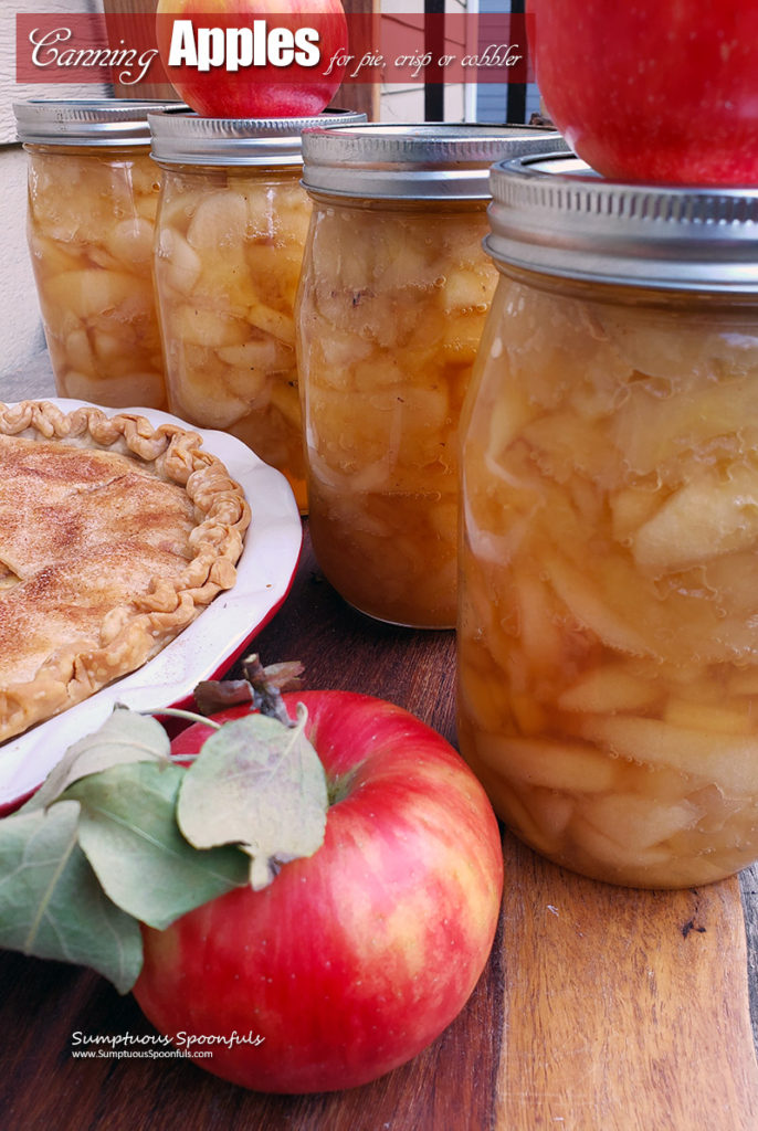Canning Apples for Pie, Crisp or Cobbler | Sumptuous Spoonfuls
