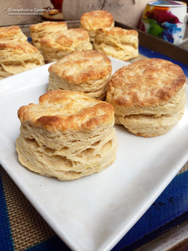 The Best Soft, Fluffy Biscuits | Sumptuous Spoonfuls