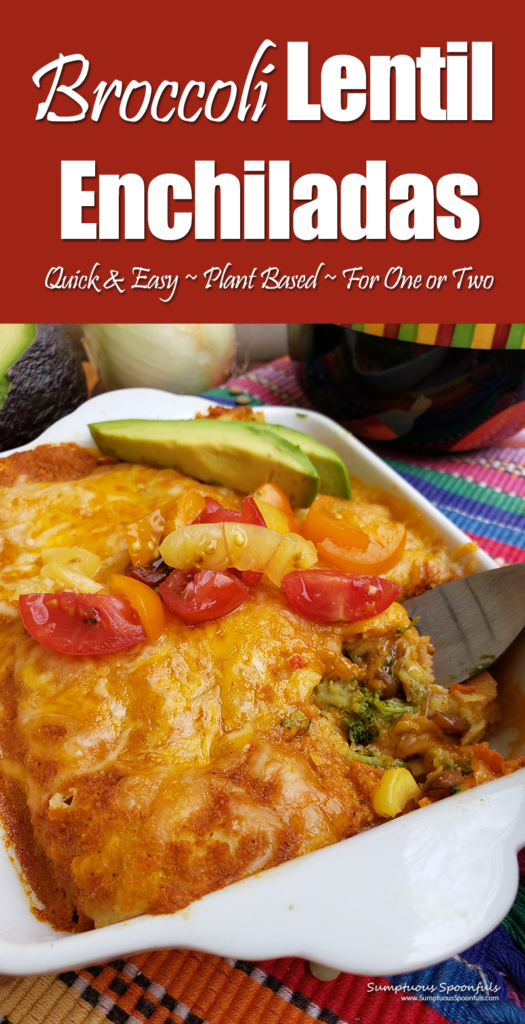 When you’re craving Mexican: Quick Broccoli Lentil Enchiladas for One ...
