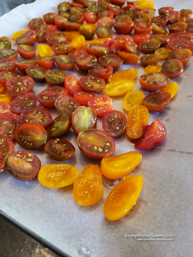 How to Make Sun Dried Tomatoes in your Oven | Sumptuous Spoonfuls