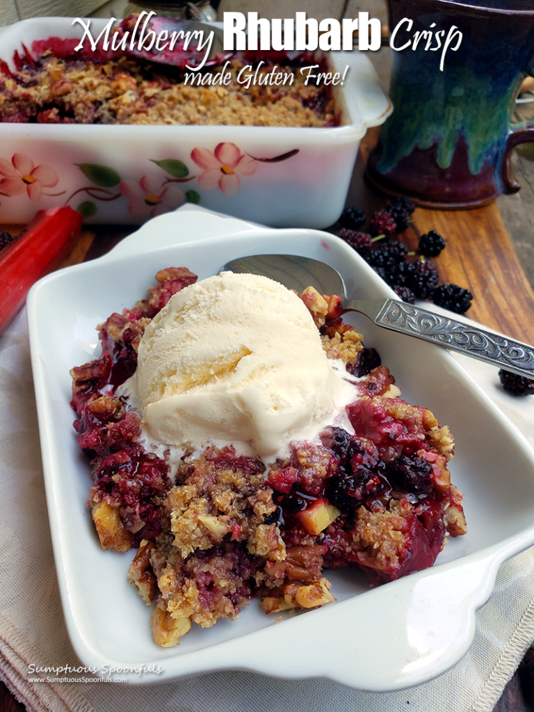 Mulberry Rhubarb Crisp made gluten free! | Sumptuous Spoonfuls