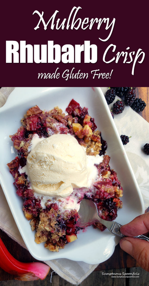 Mulberry Rhubarb Crisp made gluten free! | Sumptuous Spoonfuls