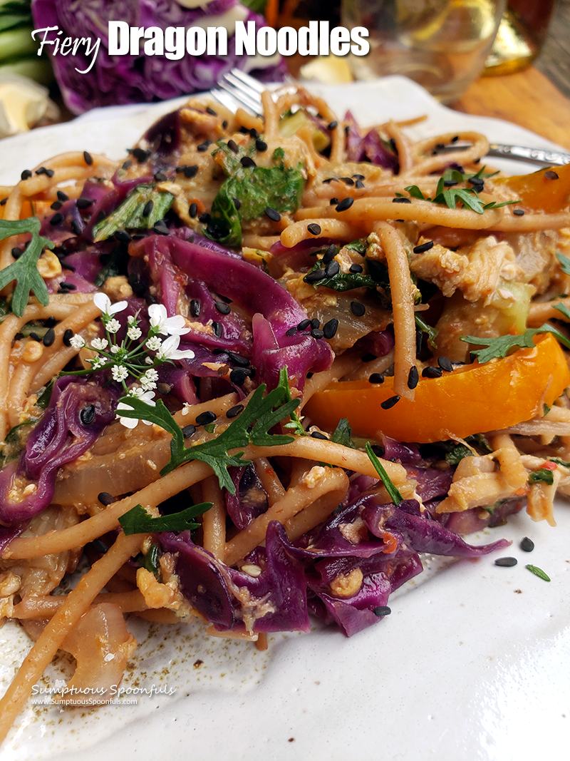 Fiery-Dragon-Noodles-2 | Sumptuous Spoonfuls