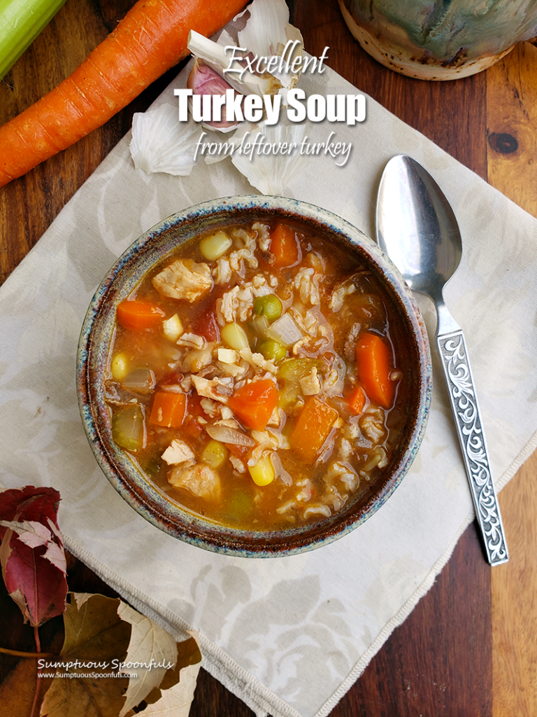 How to Make Excellent Turkey Soup from Leftover Turkey | Sumptuous ...